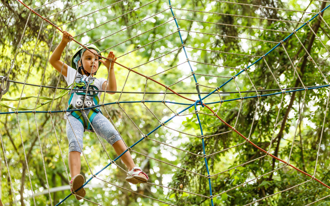 WATCA - Western Australian Tree Canopy Advocates