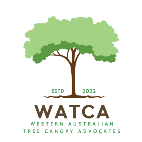 30% Tree Canopy Target by 2040 for Perth – WATCA
